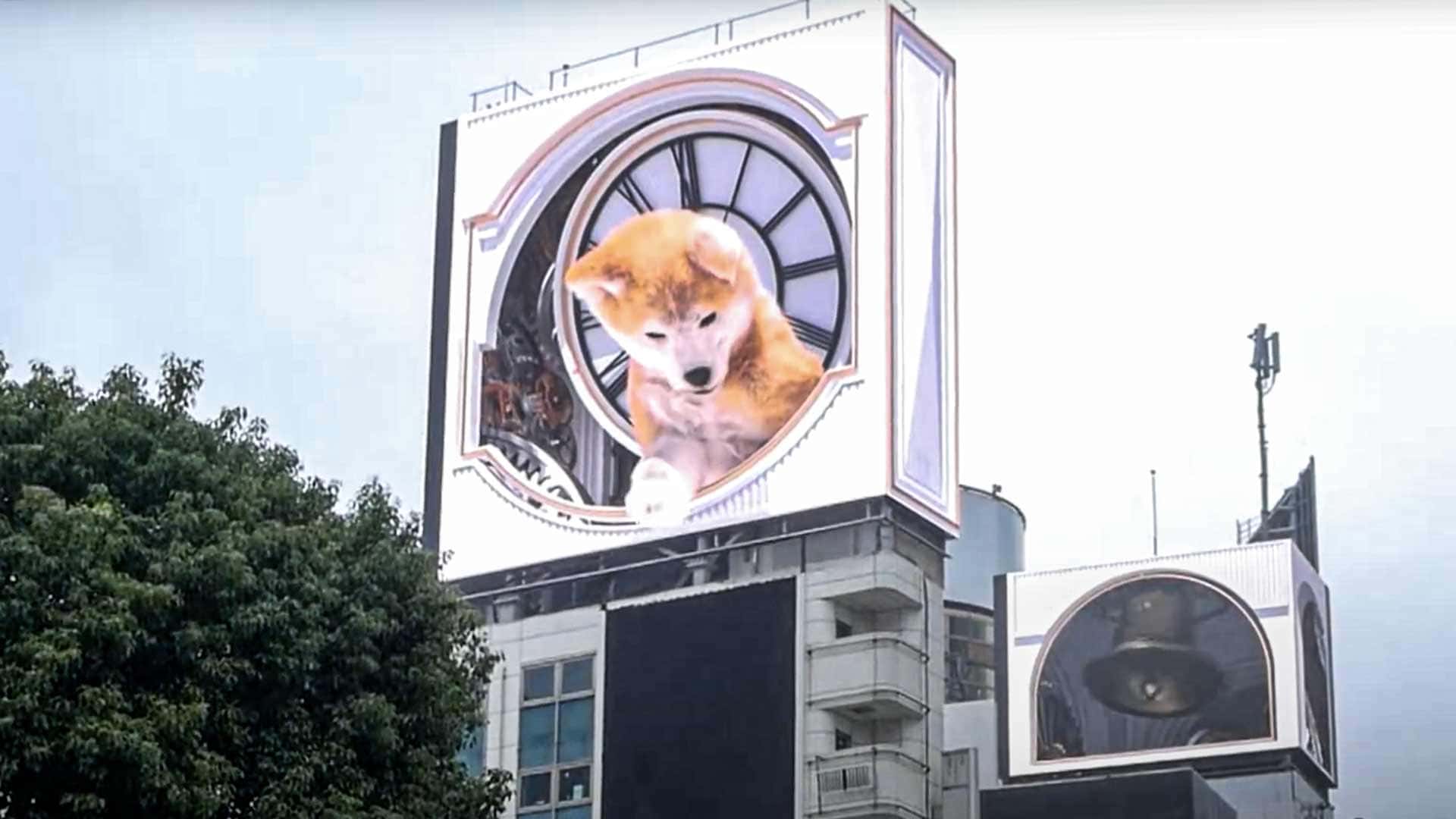 Dónde encontrar las pantallas 3D Tokio: el gato 🐱, el panda 🐼...